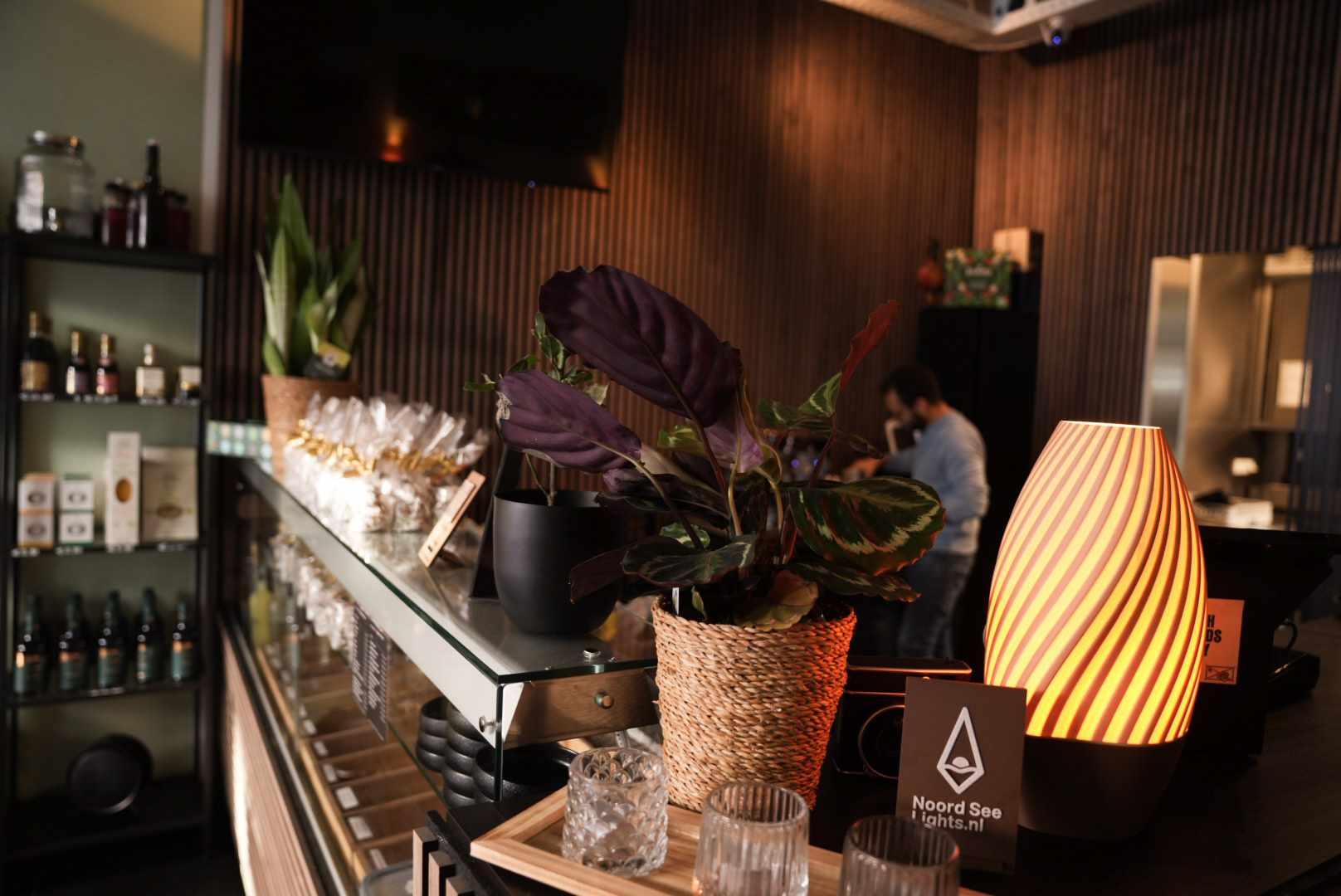 Primo Pasta Amsterdam – Noord see Lights